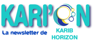 Caraibe & coopération : Karib Horizon, une valeur ajoutée en construction